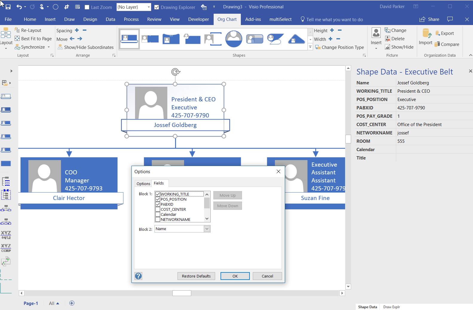 Aliasing Data Columns for Visio Organization Chart Wizard - bVisual