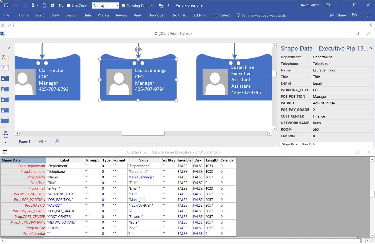 Aliasing Data Columns For Visio Organization Chart Wizard Bvisual